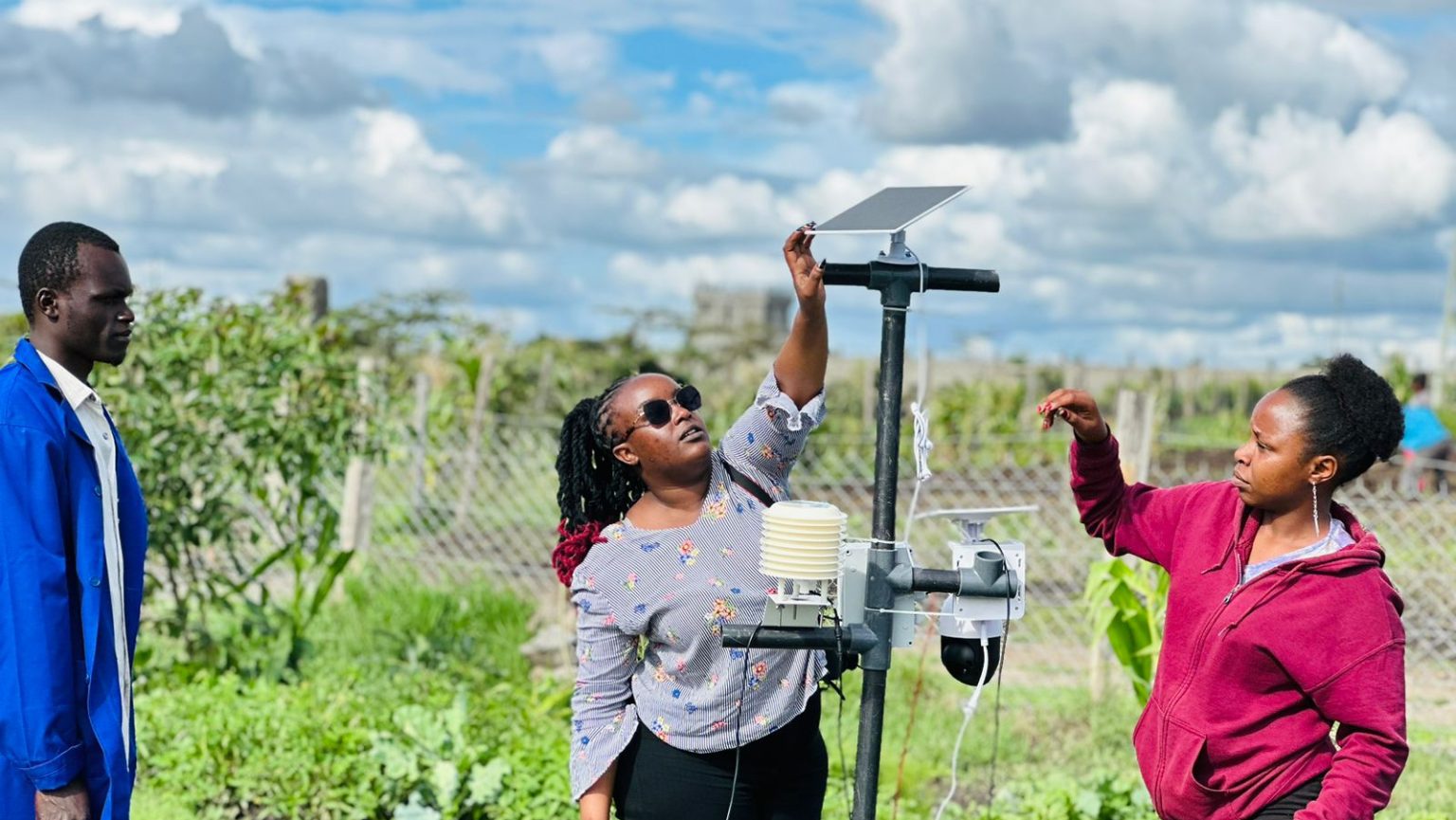 Onion Doctor – Every Bulb Counts!